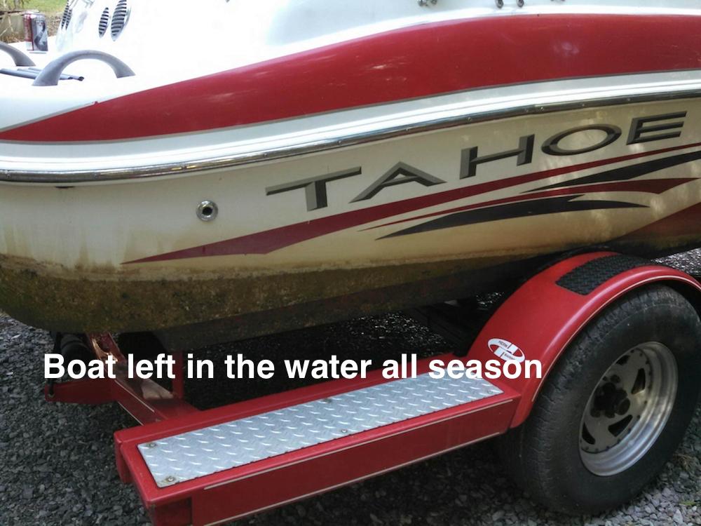 Toon-Brite Spray-On Fiberglass Cleaner | 1/2 Gallon with Sprayer